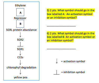 Solved What symbol should go in the box labelled A: An | Chegg.com