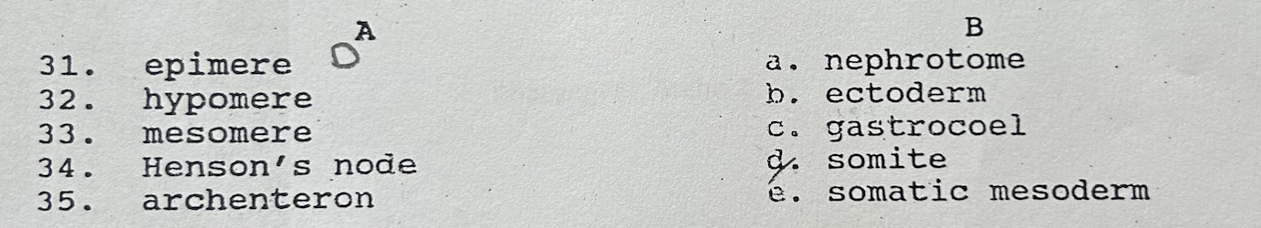 Solved \begin{tabular}{ll} 31. epimere DA & | Chegg.com