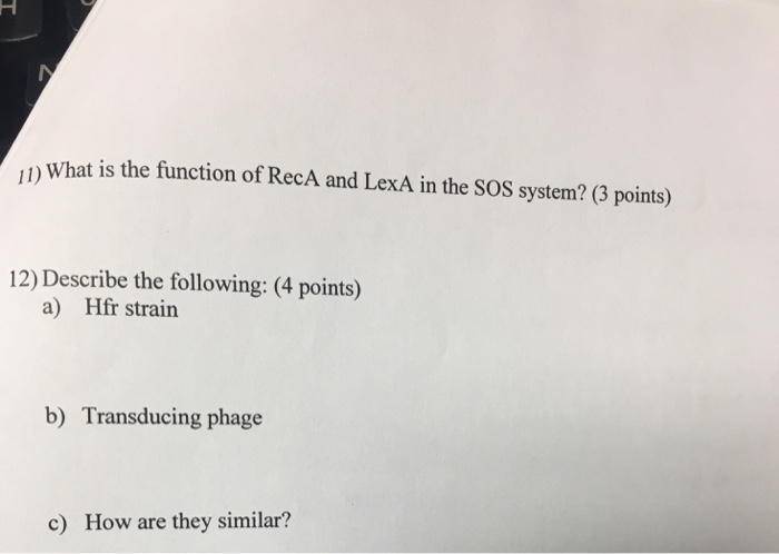 Solved 10 What is the function of RecA and LexA in the SOS | Chegg.com