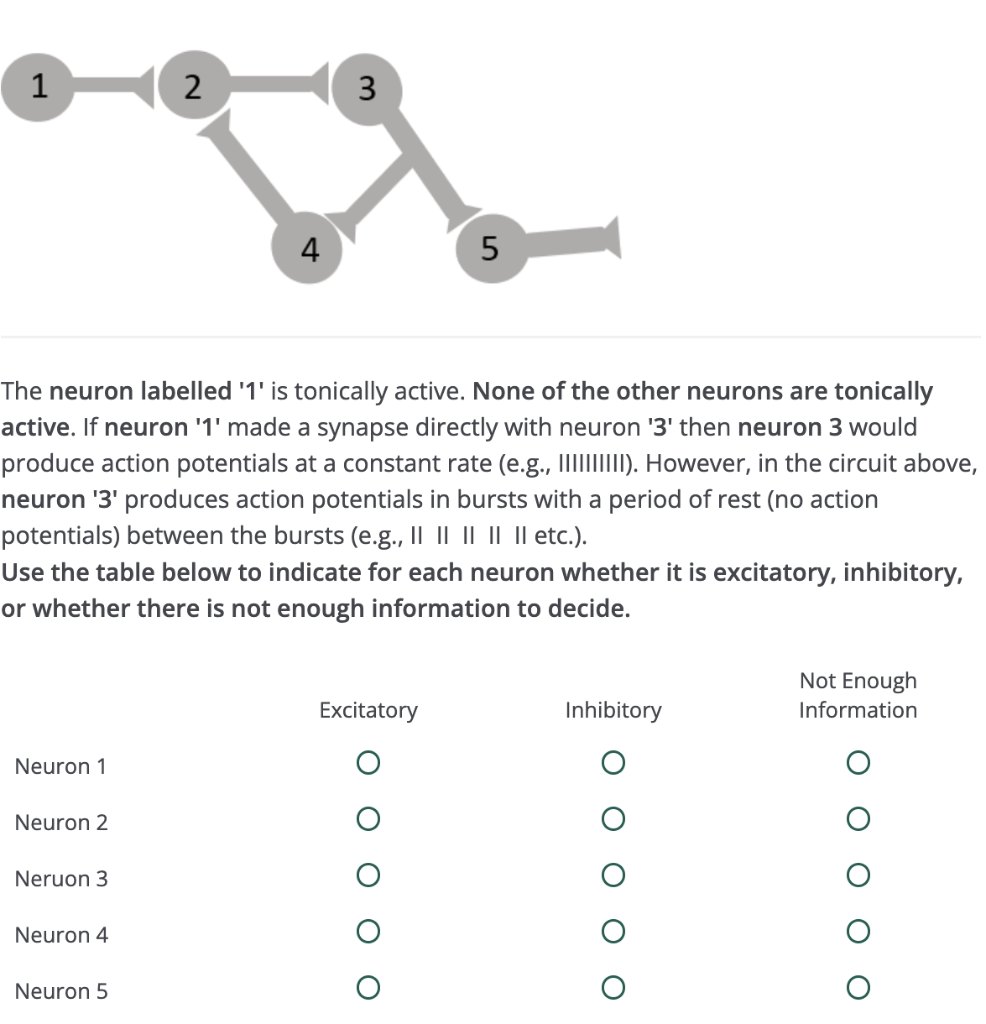 The neuron labelled ' 1 ' is tonically active. None | Chegg.com