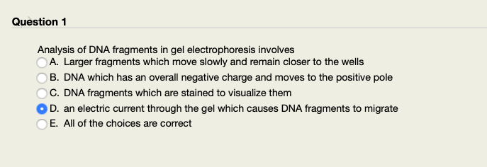 Solved Question 1 Analysis of DNA fragments in gel | Chegg.com