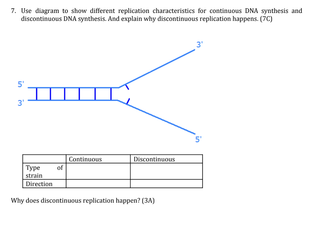 Solved Use diagram to show different replication | Chegg.com