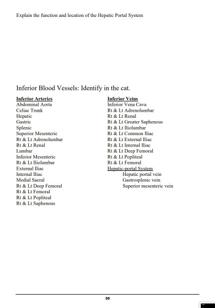 Solved Lab 5: Inferior Blood Vessels Introduction The | Chegg.com Solved Lab 5: Inferior Blood Vessels Introduction The | Chegg.com
