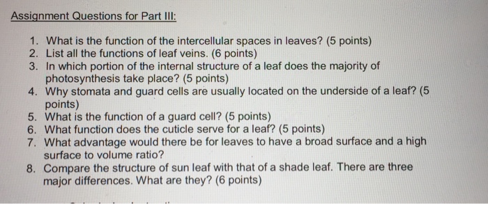 Solved Assignment Questions for Part IlI: 1. What is the | Chegg.com Solved Assignment Questions for Part IlI: 1. What is the | Chegg.com