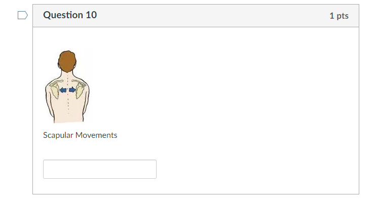Solved Complete the following Lab Activity on Movement | Chegg.com