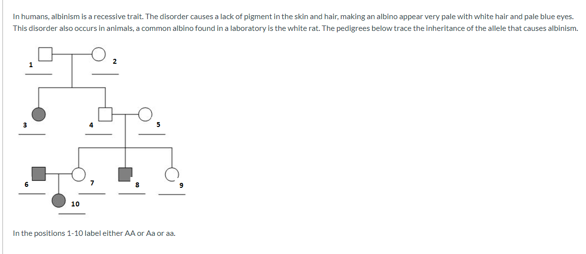 Solved In humans, albinism is a recessive trait. The | Chegg.com