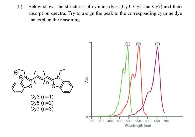 Solved (b) Below shows the structures of cyanine dyes (Cy3, | Chegg.com