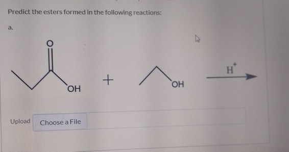 Solved Predict the esters formed in the following reactions: | Chegg.com