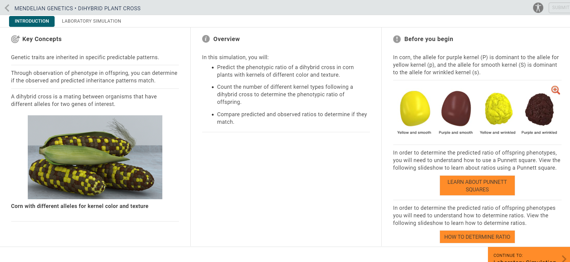 Solved Mendelian Genetics - Dihybrid Plant Cross. In your | Chegg.com