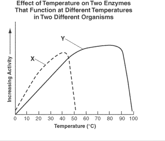 Solved 1. what is the optimal temperature for enzyme X? 2. | Chegg.com