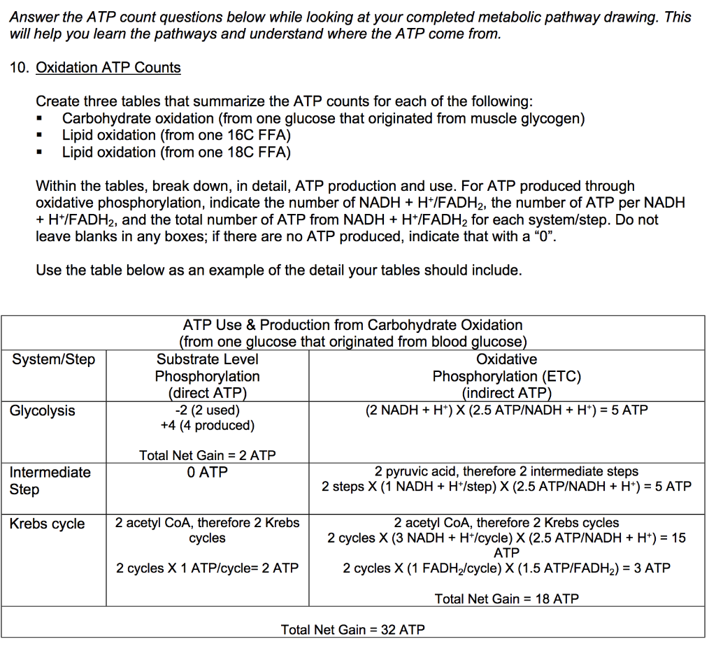 Solved Answer the ATP count questions below while looking at | Chegg.com