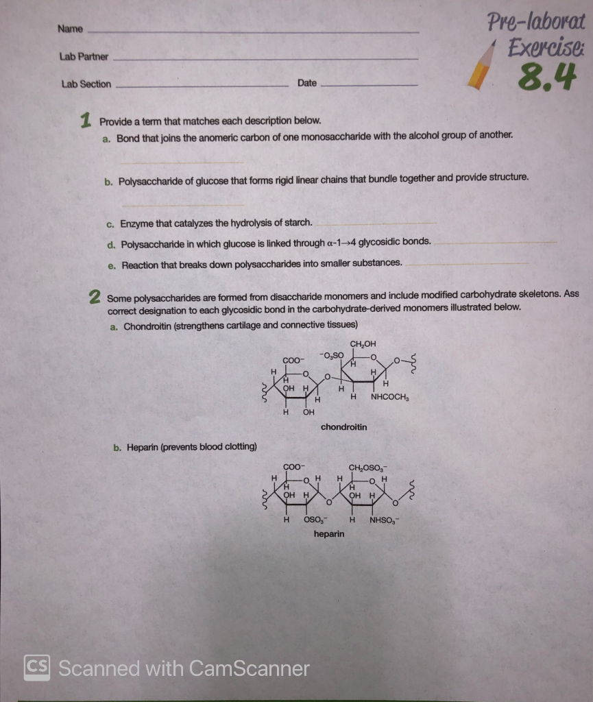 Solved Name Lab Partner Pre-laborat Exercise 8.4 Lab Section | Chegg.com