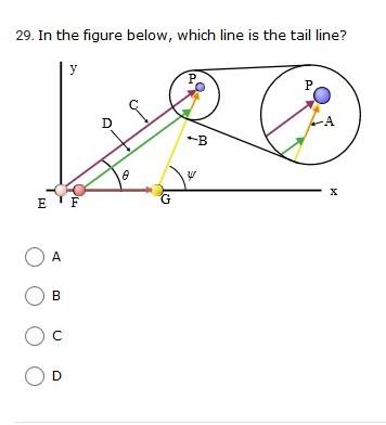 Solved 29. In the figure below, which line is the tail line? | Chegg.com