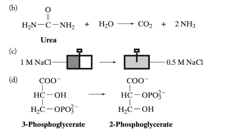 Solved (b) O II H2N-C-NH2 + H2O CO2 + 2NH3 Urea (c) 1 M | Chegg.com