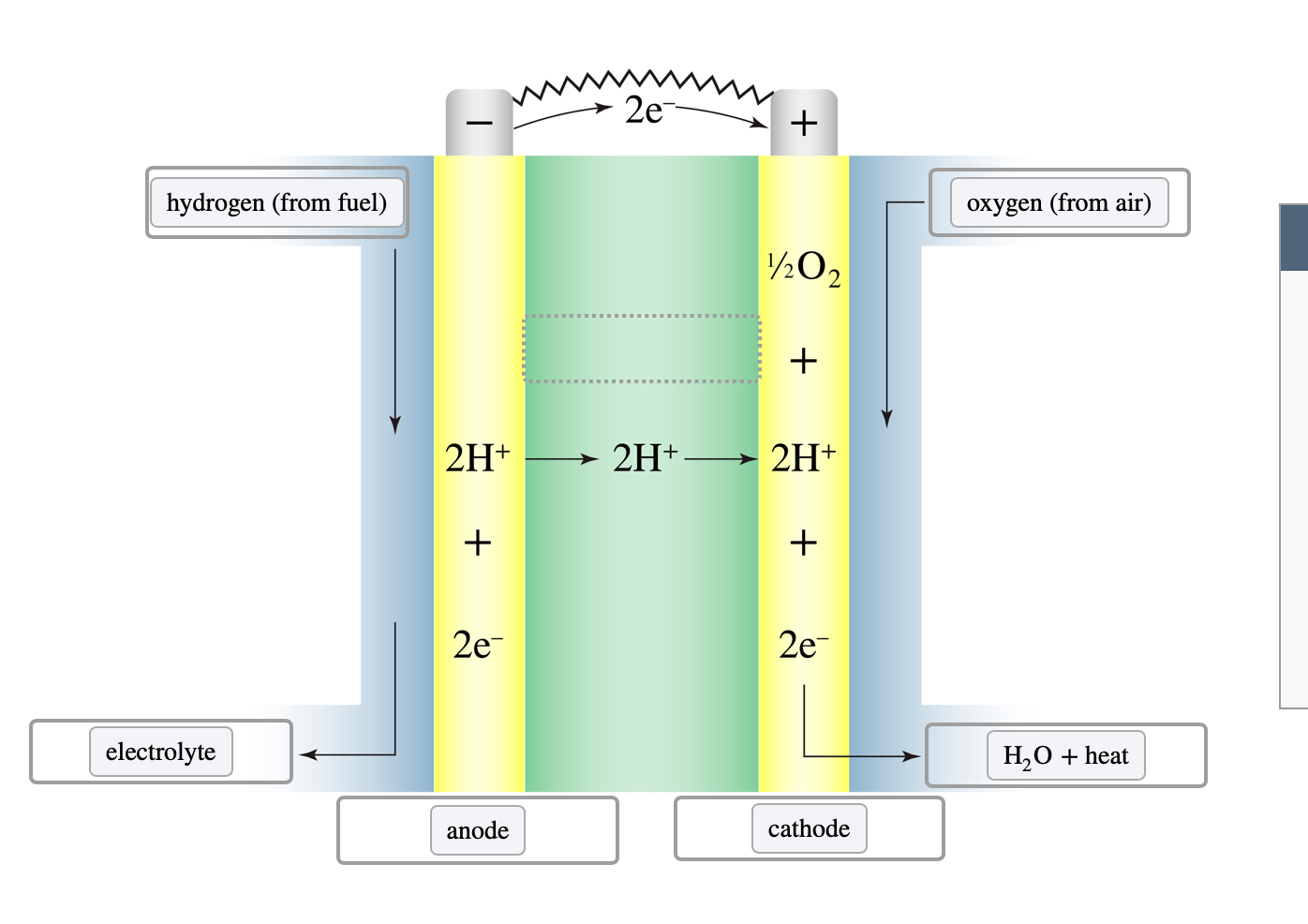 Solved 2e + hydrogen (from fuel) oxygen (from air) 1202 + | Chegg.com