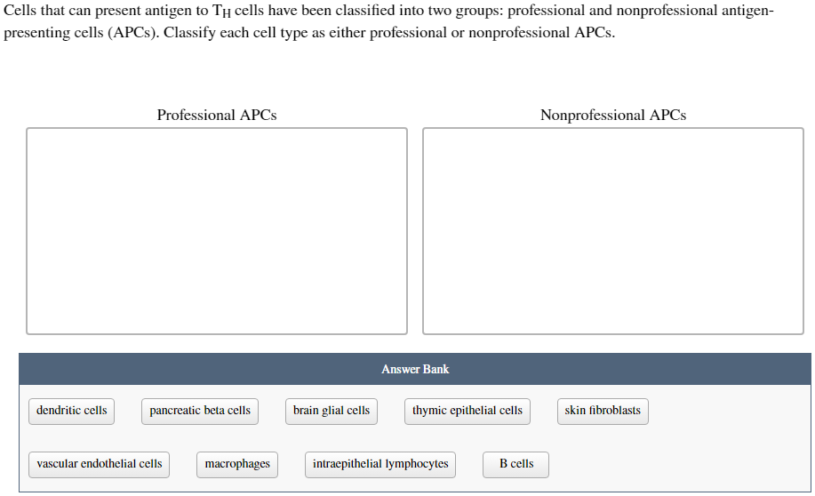 Solved Cells that can present antigen to TH cells have been | Chegg.com