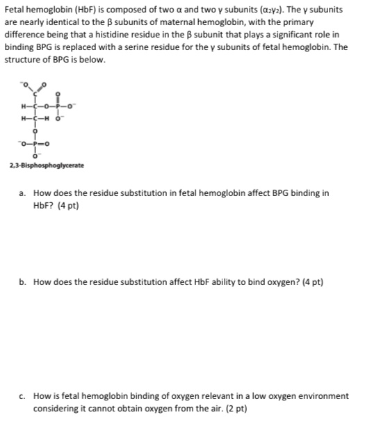Solved Fetal hemoglobin (HbF) is composed of two a and two y | Chegg.com