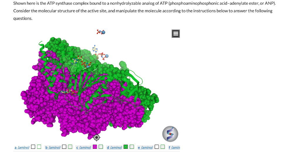 Solved Shown here is the ATP synthase complex bound to a | Chegg.com