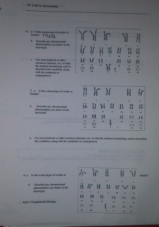 Solved 120 LAB 12: Karyotyping 4. Is this a karyotype of a | Chegg.com