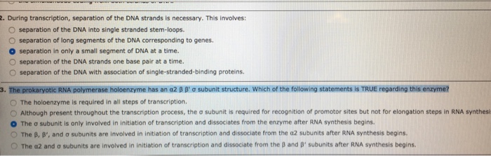 Solved During transcription, separation of the DNA strands | Chegg.com