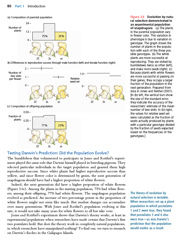Solved 3.3 The Evolution of Flower Color in an Experimental | Chegg.com
