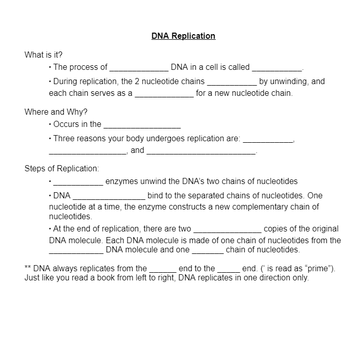 Solved DNA Replication What is it? · The process of DNA in a | Chegg.com