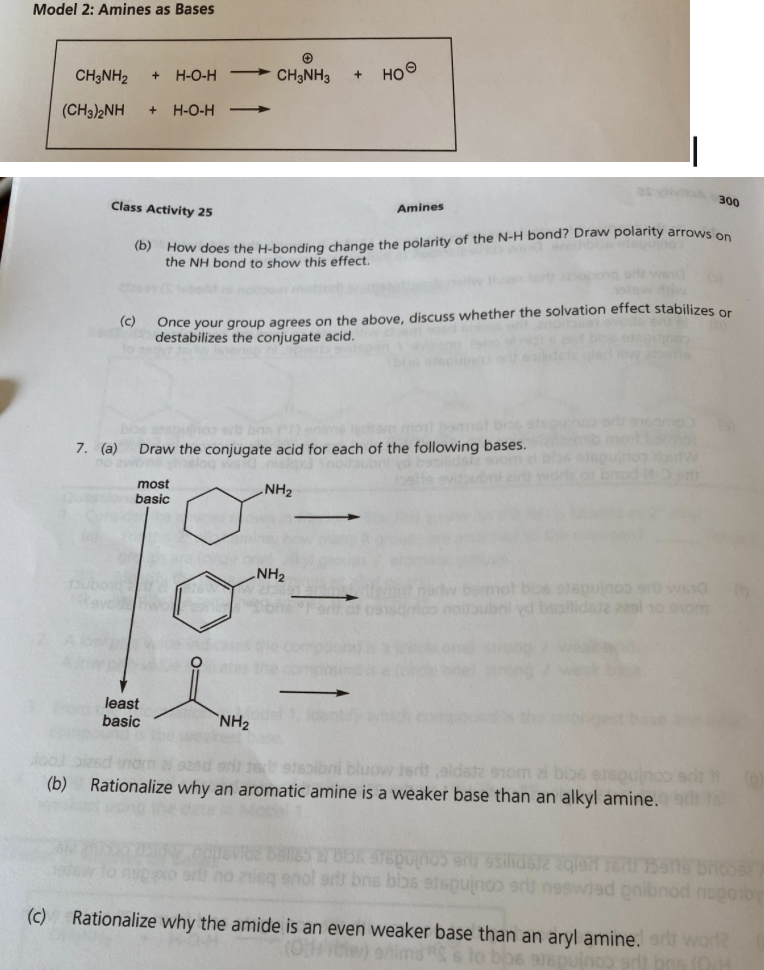 Solved Model 2: Amines as Bases CH3NH3 + HOⓇ CH3NH2 + H-OH | Chegg.com