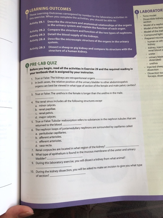 Solved LEARNING OUTCOMES These Learning this exercise. | Chegg.com