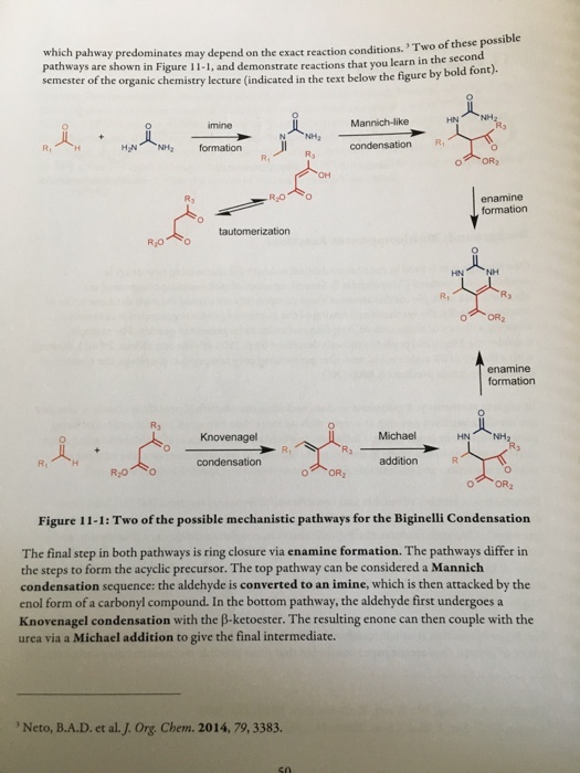 Solved 4. Provide complete reaction mechanisms for the imine | Chegg.com
