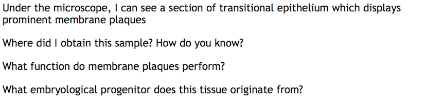 Solved Under the microscope, I can see a section of | Chegg.com