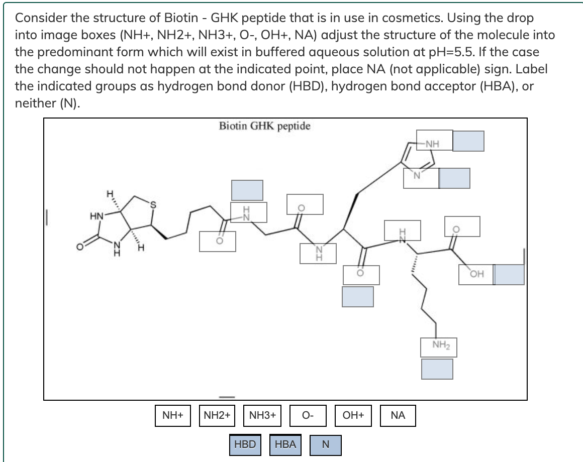 Solved Consider the structure of Biotin - GHK peptide that | Chegg.com