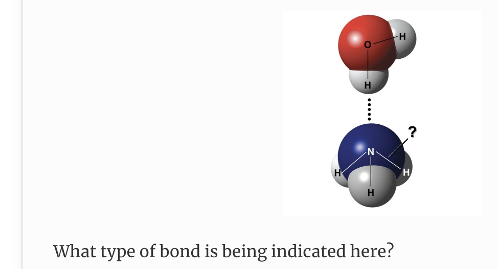 Solved What type of bond is being indicated here? | Chegg.com