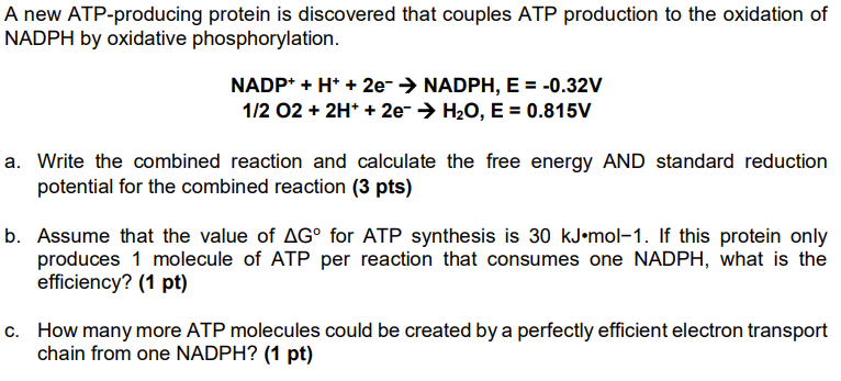 Solved A new ATP-producing protein is discovered that | Chegg.com