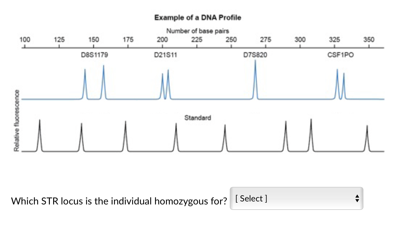 Solved STRs are inherited just like any gene or segment of | Chegg.com