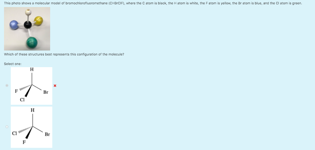 Solved This photo shows a molecular model of | Chegg.com