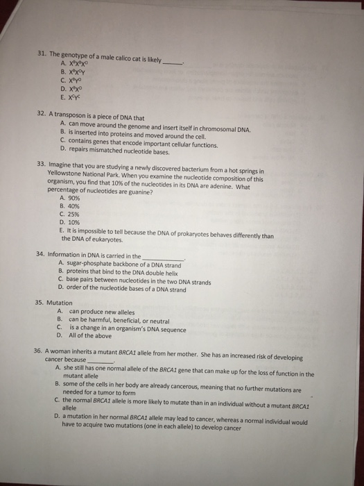 Solved 31. The genotype of a male calico cat is likely E. XY | Chegg.com