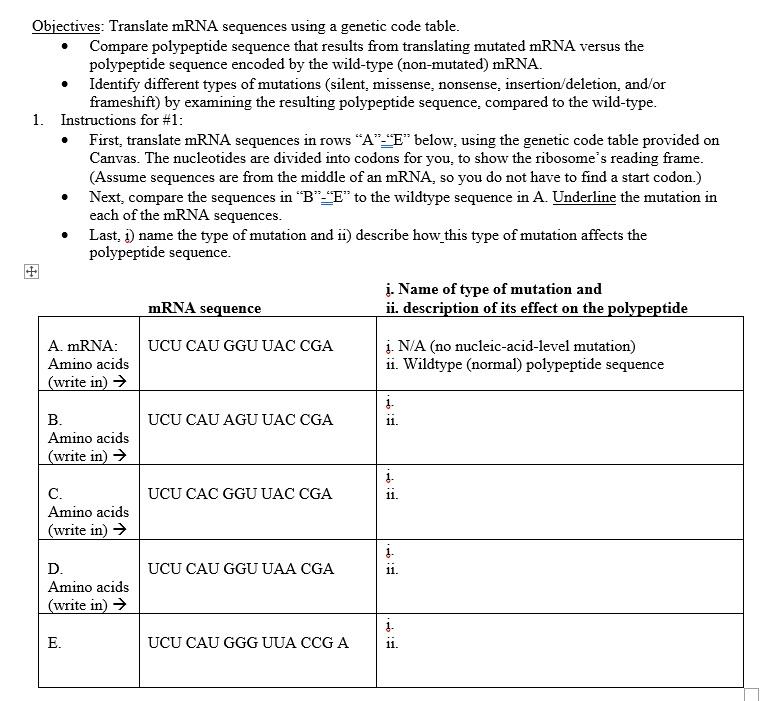 Solved • Objectives: Translate mRNA sequences using a | Chegg.com
