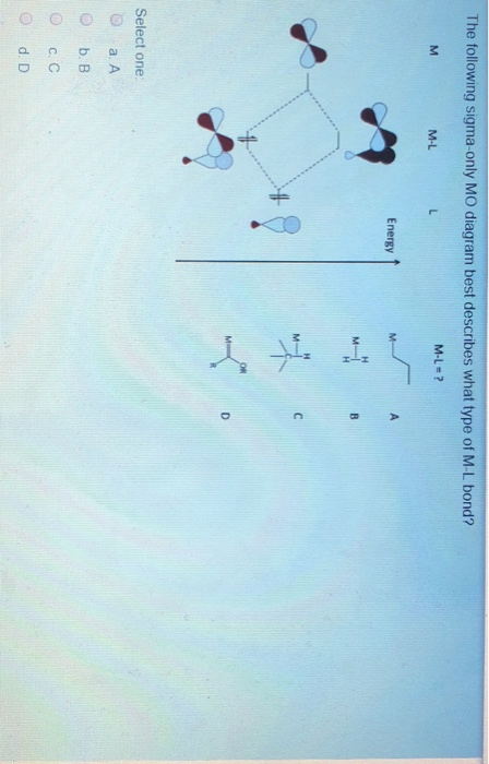 Solved Transmetallation is an important step in many | Chegg.com