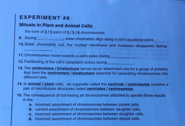 Solved EXPERIMENT #6 Mitosis in Plant and Animal Cells the | Chegg.com