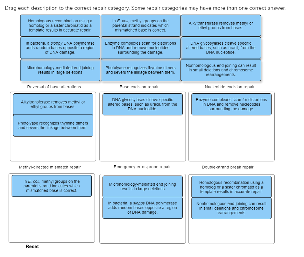 Solved Drag each description to the correct repair category. | Chegg.com