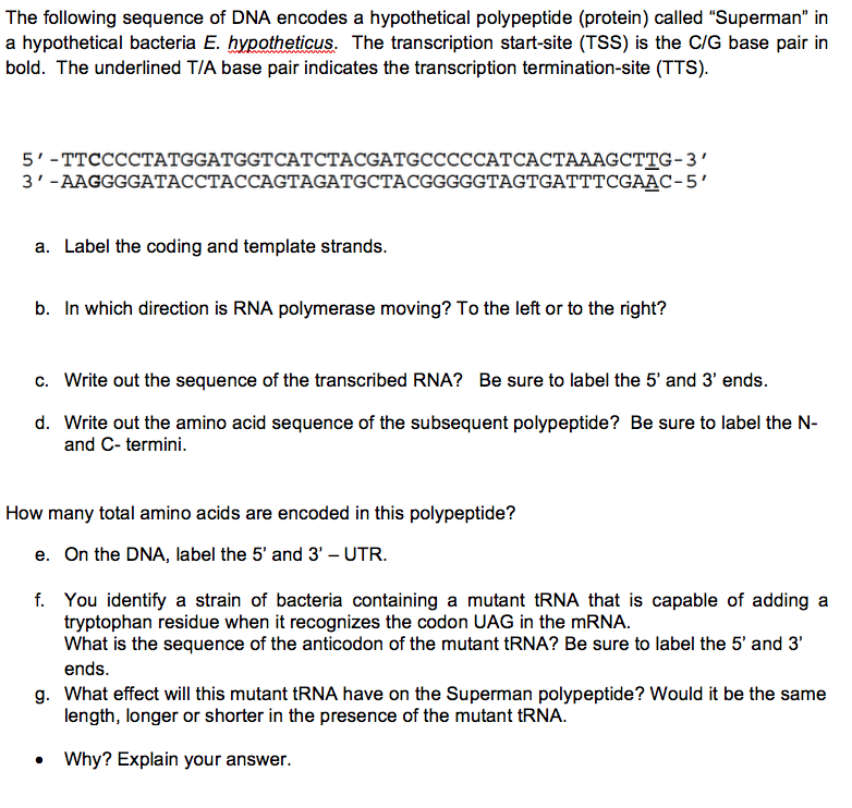 Solved The following sequence of DNA encodes a hypothetical | Chegg.com