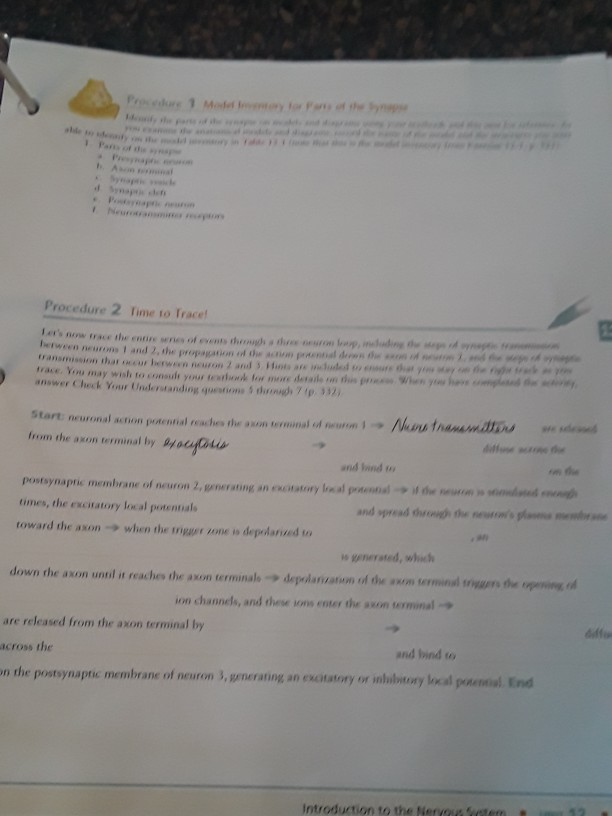 Solved Procedure 2 Time to Trace! answer check Your | Chegg.com