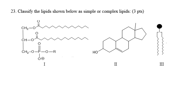 Solved 23. Classify the lipids shown below as simple or | Chegg.com
