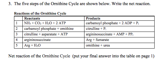 Solved 3. The five steps of the Ornithine Cycle are shown | Chegg.com