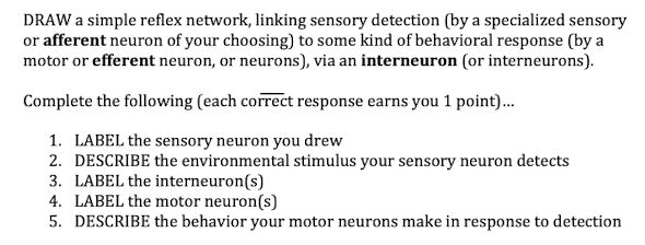 Solved DRAW a simple reflex network, linking sensory | Chegg.com
