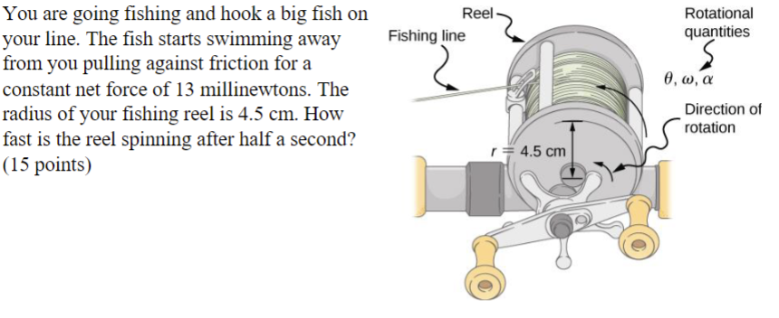 Solved You are going fishing and hook a big fish on your | Chegg.com