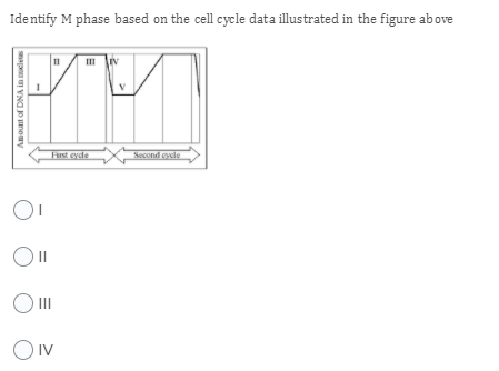 Solved Identify M phase based on the cell cycle data | Chegg.com
