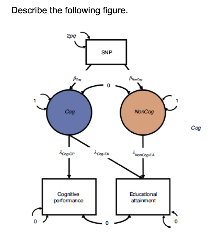 Solved Describe the following figure. cog | Chegg.com