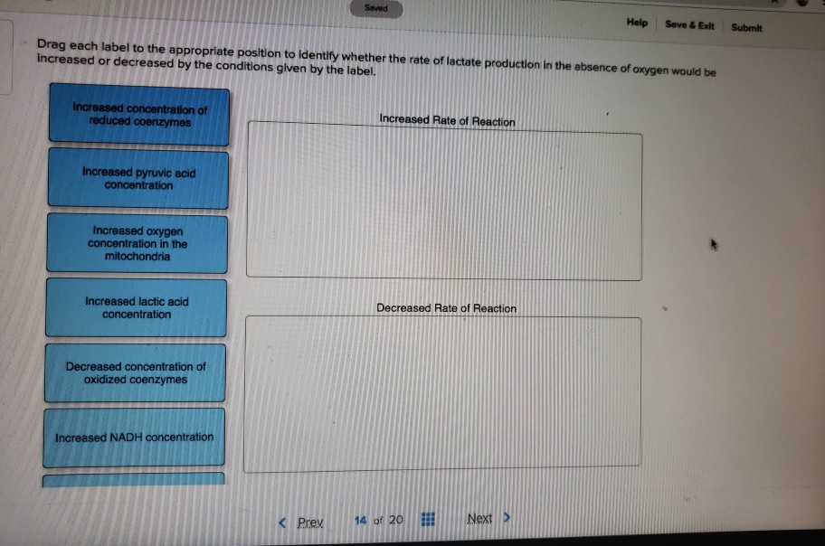 Solved Saved Help Seve& Exit Submit Drag each label to the | Chegg.com