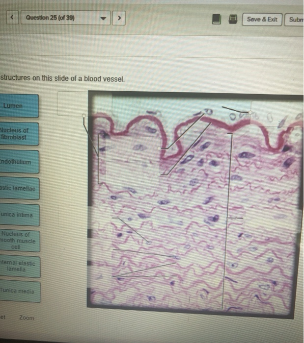 Solved Subr Save & Exit